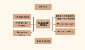 Pillars of Tajweed, Its Rules and Symbols Explained